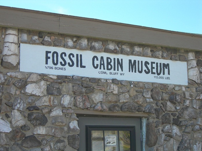 Cabin Built From Fossilized Dinosaur Bones | Amusing Planet